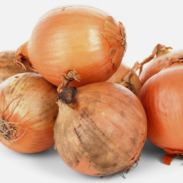 Bulbes potagers - OIGNON - variétés - Ets PERRIOL-JEUDY